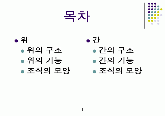 간, 위 조직학완성본