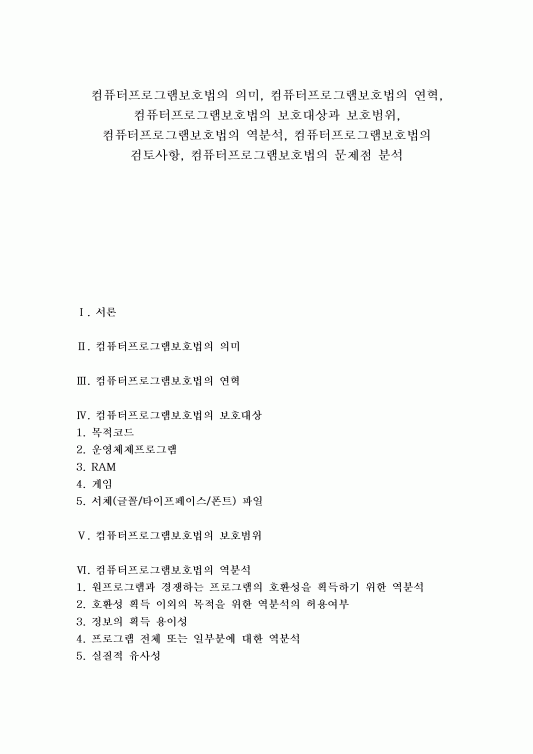 컴퓨터프로그램보호법의 의미, 컴퓨터프로그램보호법의 연혁, 컴퓨터프로그램보호법의 보호대상과 보호범위, 컴퓨터프로그램보호법의 역분석, 컴퓨터프로그램보호법의 검토사항, 컴퓨터프로그램보호법의 문제점