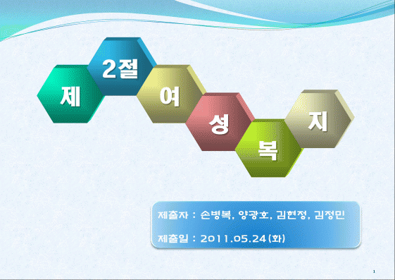우리나라 여성복지의 개념과 문제점 및 과제