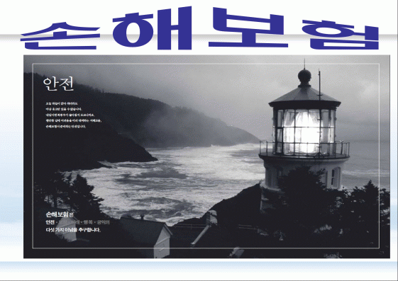 손해보험(금융기관)