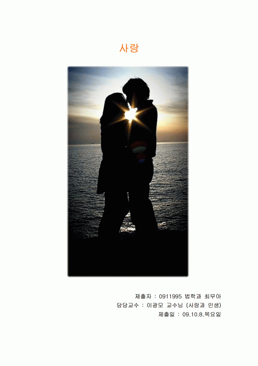 사랑의코드 레포트 자료