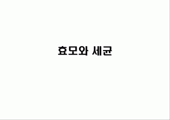 세균과 효모 레포트 자료