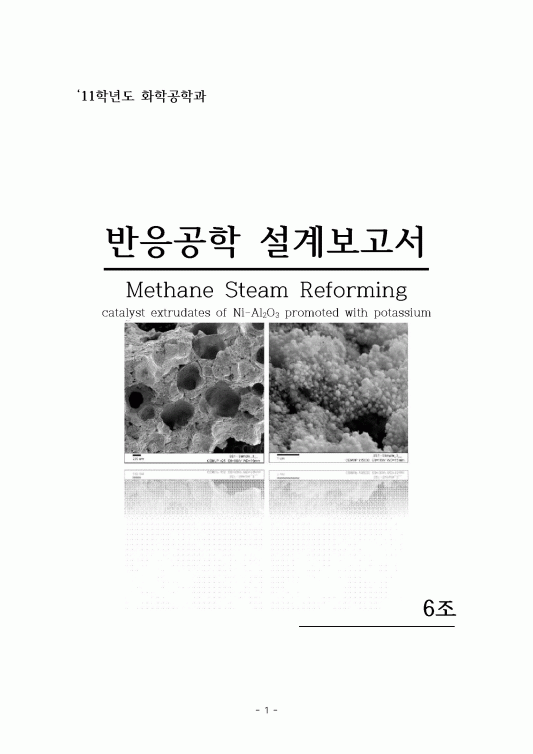 화학공학과 반응공학 반응기 설계 보고서