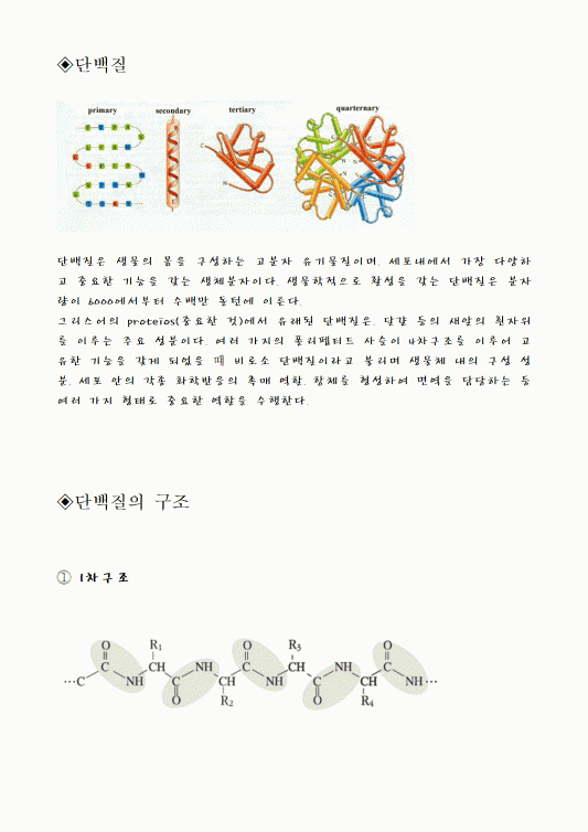 기초생화학 단백질의 구조(1차~4차)