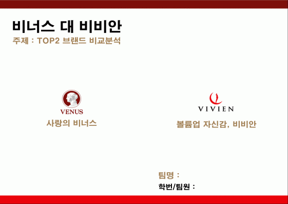 비너스 & 비비안 브랜드 전격비교