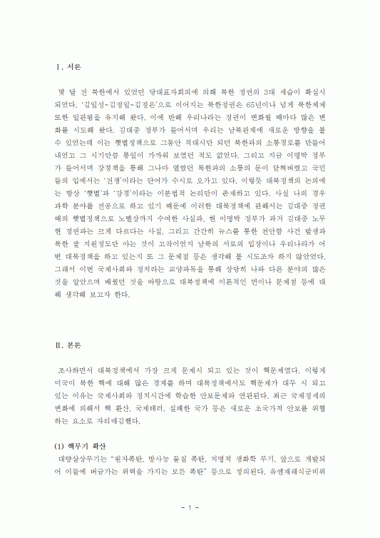 [국제사회와정치]대북정책