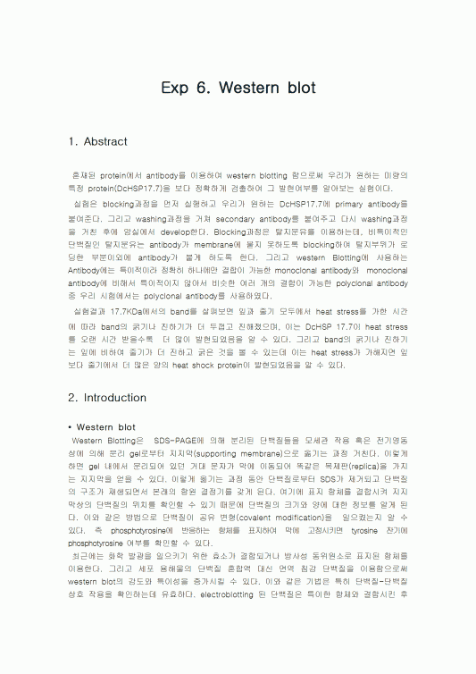 [분자유전학실험]6.Western blot