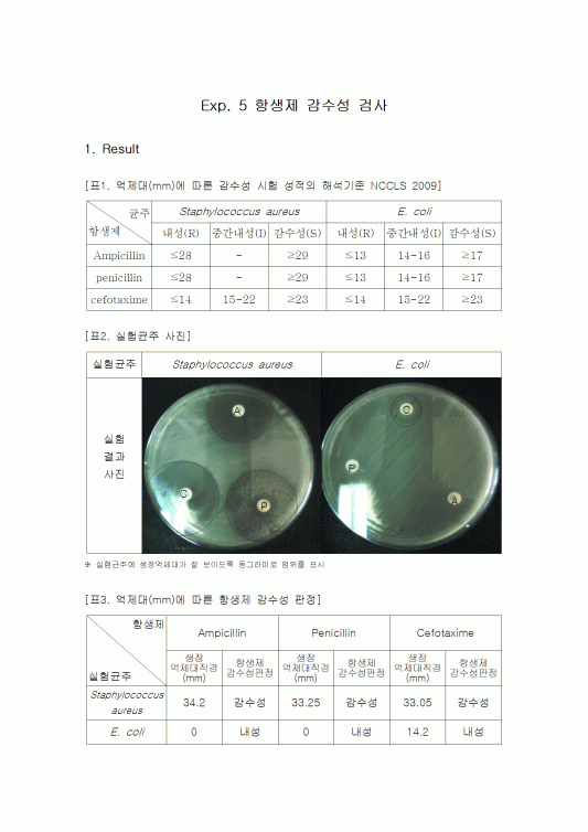 [세균학실험]5.항생제 감수성 검사