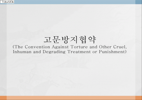 고문방지협약