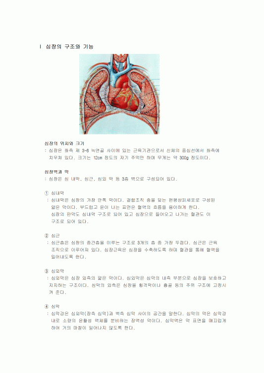 순환기계 정리