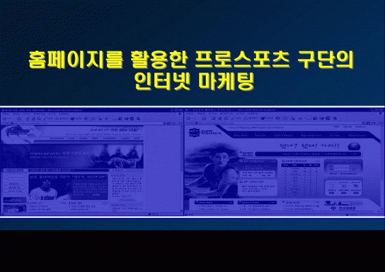 홈페이지를 활용한 프로스포츠 구단의 인터넷 마케팅