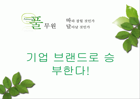 풀무원 (따라 잡힐 것인가 달아날 것인가, 기업 브랜드로 승부한다!)