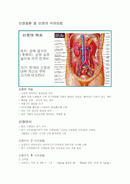 신장질환 및 신장의 식이요법