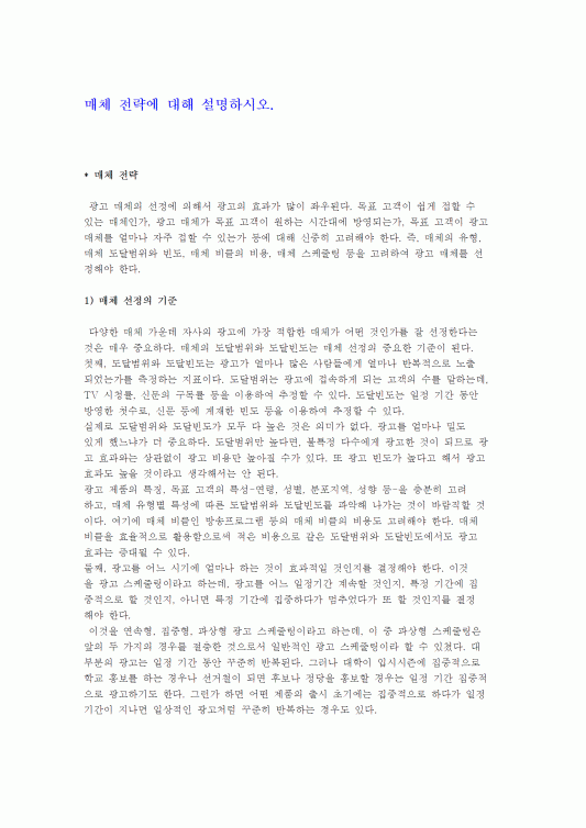 매체 전략에 대해 설명.