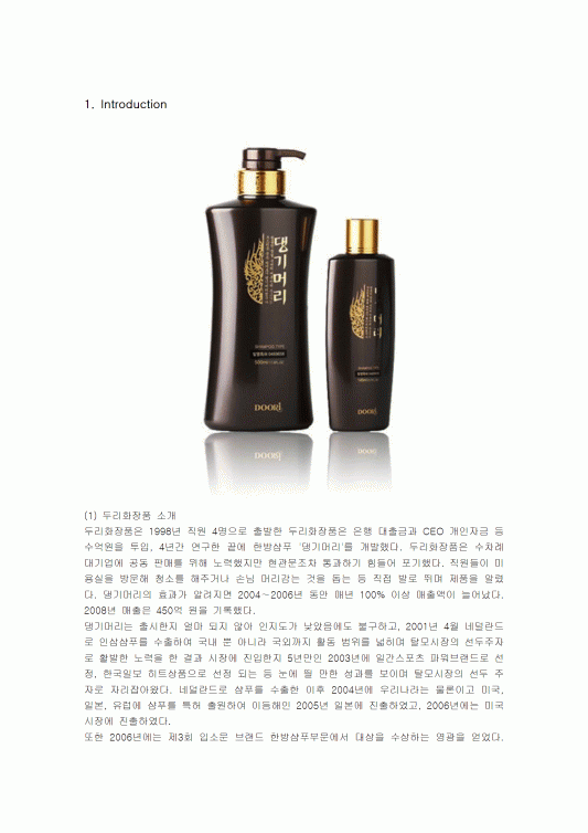 댕기머리 샴푸의 마케팅 분석