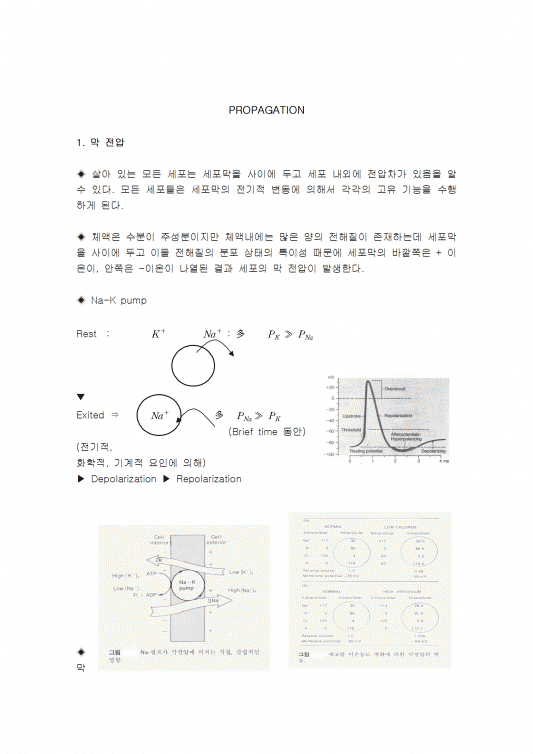 막전압[막전위](膜電位 Membrane potential)