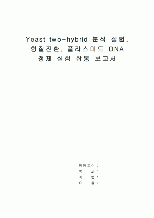 Yeast two-hybrid 분석 실험, 형질전환, 플라스미드 DNA 정제 실험 합동 보고서