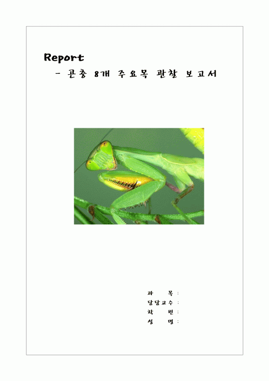곤충 8개 주요목 관찰 보고서
