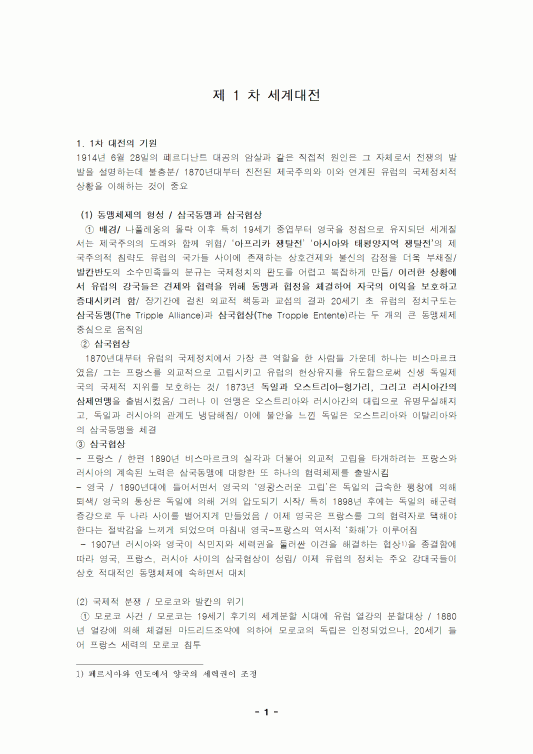 제1차 세계대전 요약 핵심 레포트