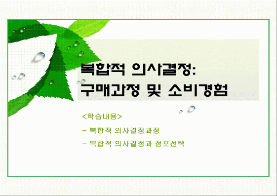 복합적 의사결정: 구매과정 및 소비경험