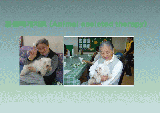 동물매개치료 (Animal assisted therapy)
