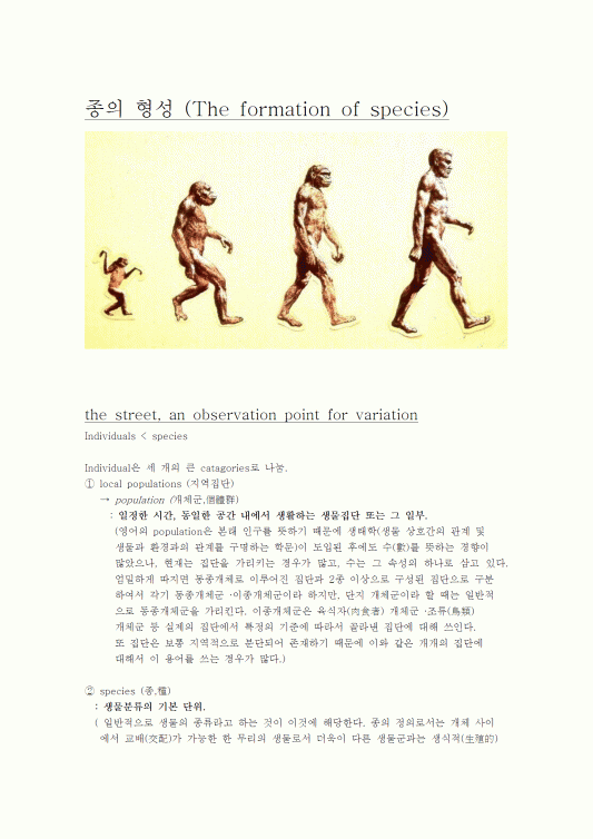 종의 형성 (The formation of species)