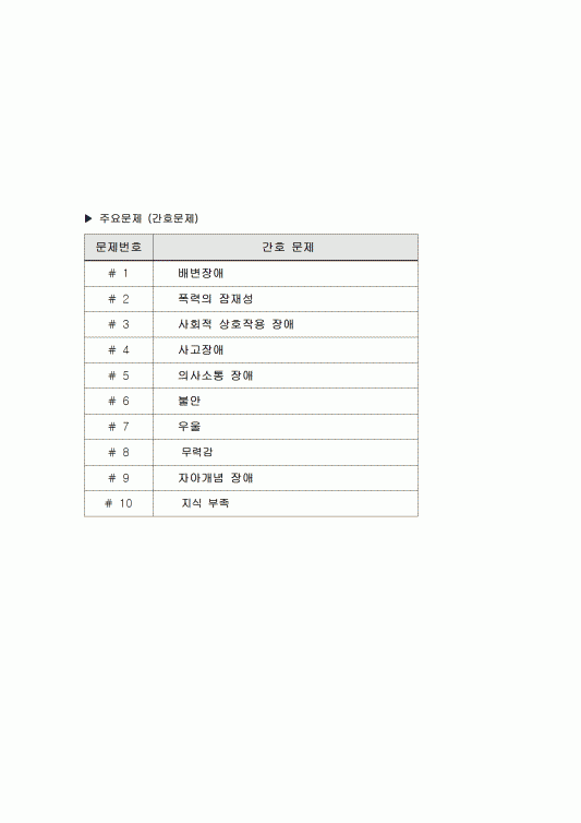 정신간호 간호진단만 10개