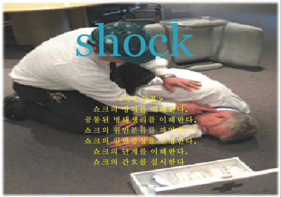shock의 병태생리 간호