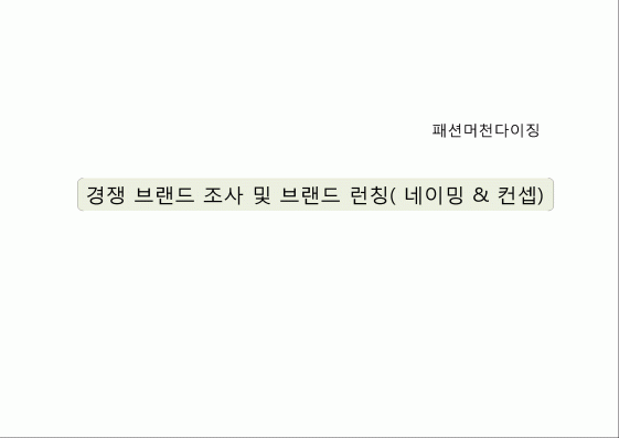 패션머천다이징 - 경쟁 브랜드 조사 및 브랜드 런칭 (네이밍 & 컨셉)