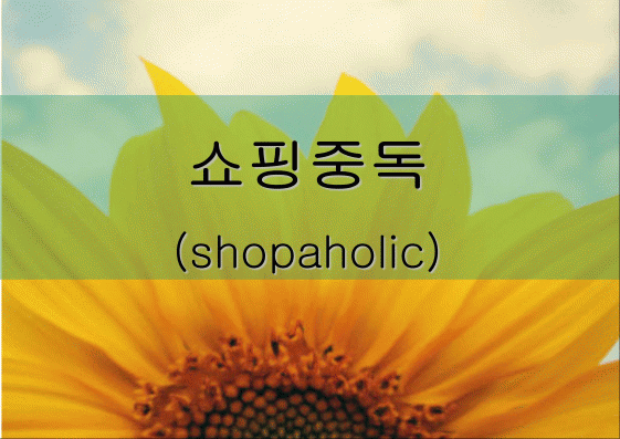 쇼핑중독 (shopaholic)
