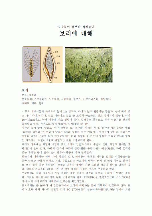 보리에 대해 레포트 자료