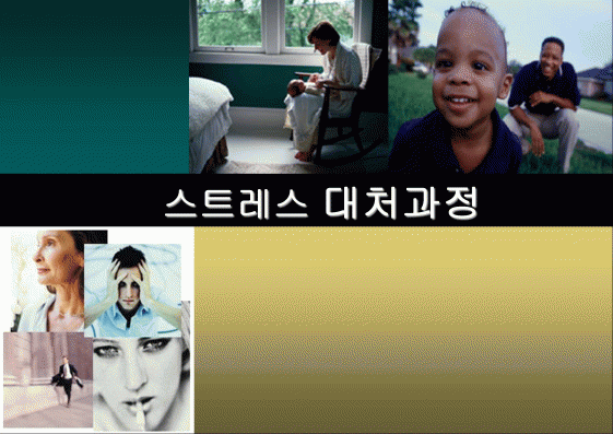 스트레스 대처과정