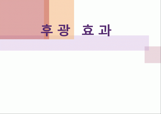 후광효과에 대하여