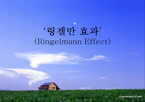 링겔만 효과 레포트 자료