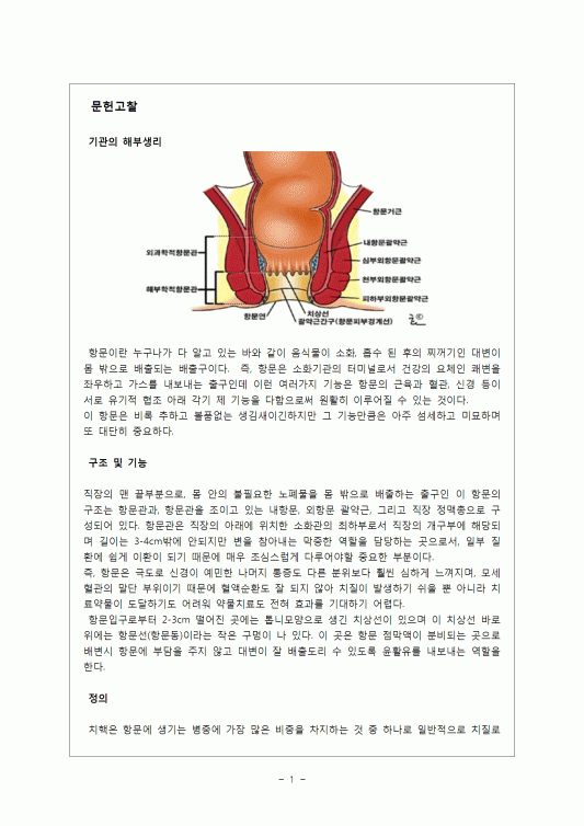 hemorrhoid (치질)