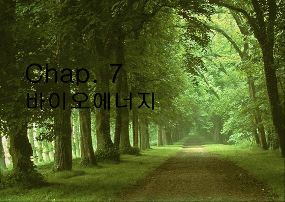 바이오에너지 [사회과학]