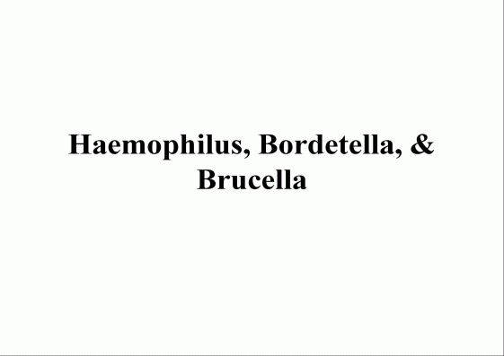 Haemophilus, Bordetella, & Brucella