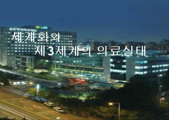 세계화와 제3세계의 의료실태
