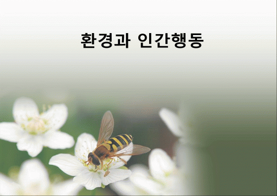 환경과 인간행동