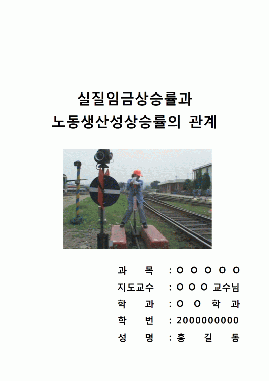 실질임금상승률과 노동생산성상승률의 관계(노동자,인권,임금,인상)