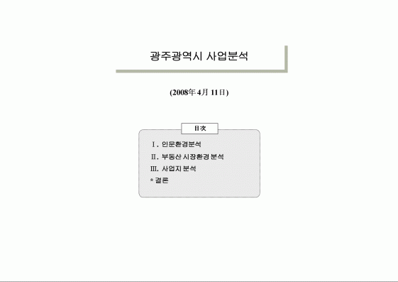 광주광역시 사업분석 (2008年 4月 11日)