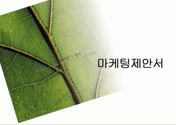 마케팅제안서