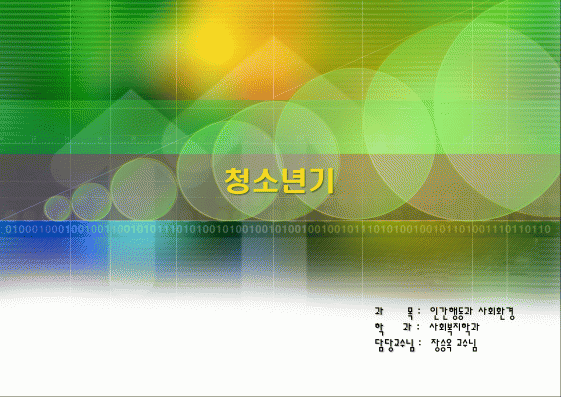인간행동과 사회환경 청소년기