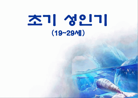 초기 성인기(19~29세)