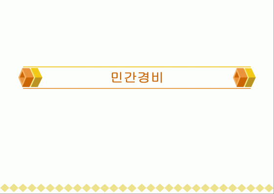 민간경비 레포트 자료