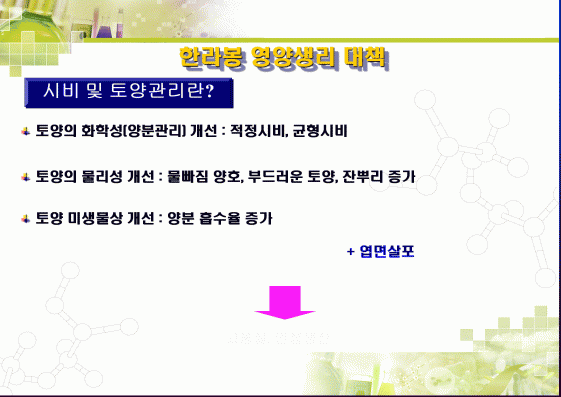 한라봉 영양생리 및 대책