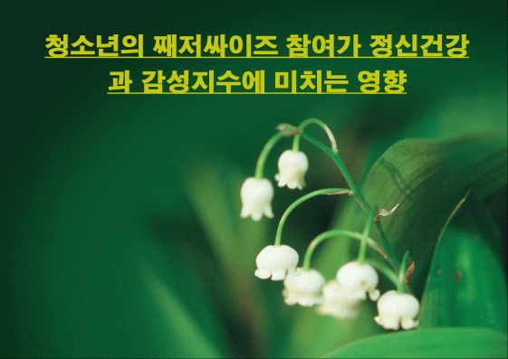 청소년의 째저싸이즈(Jazzercise) 참여가 정신건강과 감성지수에 미치는 영향