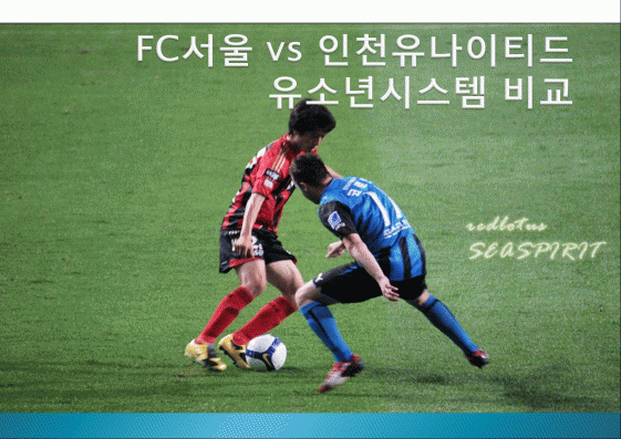 유소넌시스템비교