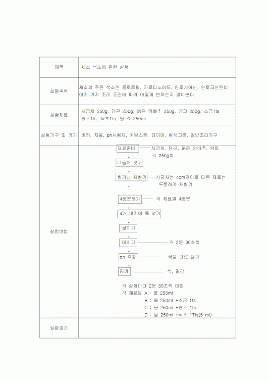 채소 색소에 관한 실험