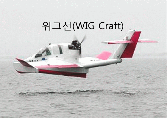 [사회과학] 위그선(WIG Craft)
